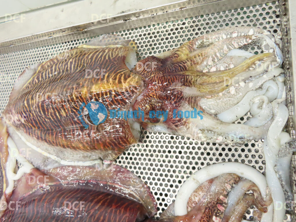 Shellfish Products – Dinuth Cey Foods